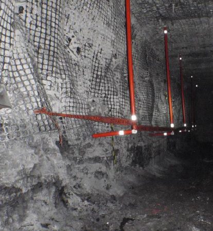 Pogo - Standard and Demarcation | Nome Services Australia